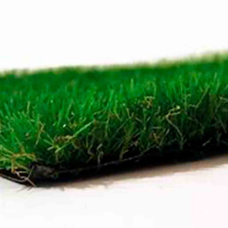 Pasto ornamental 35mm - Mastertrade 2020